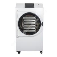 China Vacuum Freeze Dryer Lyophilizer Strawberry Blueberry Fruit Freeze Dry Machine for sale