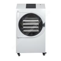 China Strawberry Blueberry Fruit Freeze Drying Dryer Machine Fruit Vegetables Meat Pets Freeze Drying Machine for sale