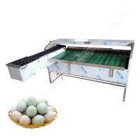 China Egg Size Sort Machine Egg Sorter Machine Egg Sorter Egg Classify Machine for sale