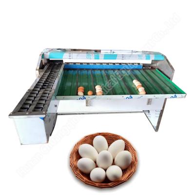 China Egg Weight Grade Chicken Egg Sorting Machine 4000pcs/H Egg Grader 304 Stainless Steel for sale