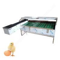 China Egg Size Sorting Machine Egg Sorter Machine Automatic Egg Grading Machine for sale