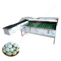 China Egg Weight Sorter Machine Egg Size Sorting Machine Chicken Egg Sorting Machine for sale
