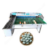 China Chicken Egg Grader Egg Grading Machine Egg Grader Farm Use	 Egg Sorting Machine for sale