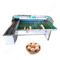 China Automatic Egg Grader Machine Egg Grading Machine Sorter Egg Weight Sorter Production Line for sale
