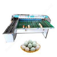 China Automatic Egg Grader Machine Egg Grading Machine Sorter Egg Weight Sorter Production Line for sale
