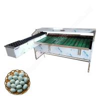China Egg Sorting Machine By Weight Sorting Line For Sorting Eggs	 Egg Sorting Grading Machinery for sale