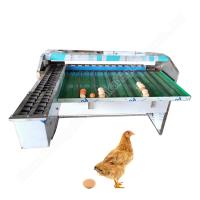 China Mechanical Egg Grader Duck Egg Size Sorting Machine Egg Weight Grading Machine 4000/5400pcs/h for sale