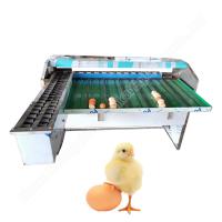 China Mechanical Egg Grader Duck Egg Size Sorting Machine Egg Weight Grading Machine 4000/5400pcs/h for sale