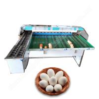China Mechanical Egg Grader Duck Egg Size Sorting Machine Egg Weight Grading Machine 4000/5400pcs/h for sale