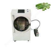 China Continuous Freeze Dryer Candy Fruit Candy Lyophilized Strawberry Freeze Drying Machine for sale