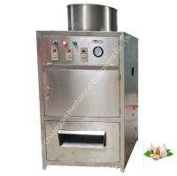 China Stainless Steel Automatic Garlic Peeler Machine 30kg/H Dry Garlic Peeler Machine Garlic Skin Peeler for sale