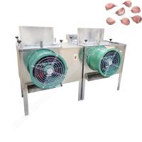 China Garlic Bulb Breaker Machine Garlic Clove Separating Machine 500kg/H 110V 220V for sale