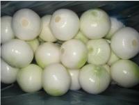 China Green Red Commercial Onion Peeling Machine / Onion Peeler Industrial 220V/50HZ 100*60*140cm for sale
