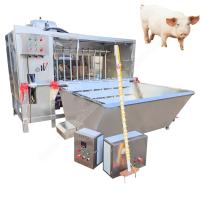 China Pig Hair Removal Depilator Plucking Machine Pigskin Degreasing Machine Pig Slaughter Machine for sale