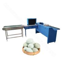 China Egg Processing Machinery Egg Sorter Egg Sorter Machine Egg Grading Machine Sorter for sale