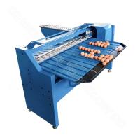 China 5400pcs/H Egg Sorting Machine Egg Grader 240kg Chicken Egg Sorter for sale
