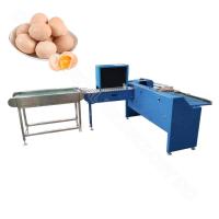 China Chicken Egg Sorting Machine Egg Size Sorting Machine Basic Egg Sorting Machine for sale