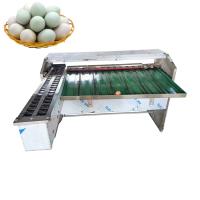 China Chicken Egg Sorting Machine Egg Size Sorting Machine Basic Egg Sorting Machine for sale