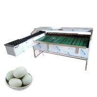 China Egg Washer And Grader Egg Grader Machine Egg Grading Machine Sorter for sale