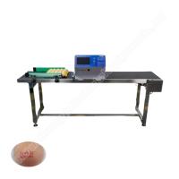 China Full Plate Spray100w Egg Coding Machine With Ink Cartridge 60kg Computer Control for sale