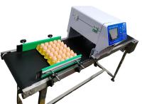 China Egg Inkjet Printer Domino Inkjet Printer For Eggs 40000eggs/H for sale