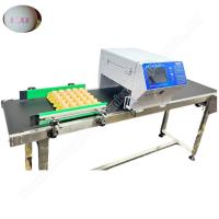 China Tray Pad Egg Carton Printing Machine Date Egg Printer Machine 45000 Eggs/H for sale