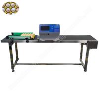 China 4600 Eggs/H Domino Egg Printer Machine Manual Code Laser Automatic Egg Stamping Machine 50kg for sale