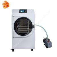 China 220V PLC Freeze Dryer SUS 304 For Food Fruit And Vegetables freeze dry machine for sale