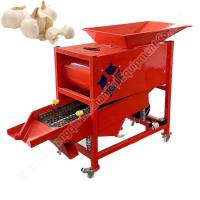 China Garlic Processing Equipment For Sale Garlic Seed Splitting Machine Garlic Four-Stage Grading Equipment for sale