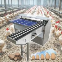 China 220v/380v Automatic Egg Sorting Machine / Commercial Egg Grading Machine For Sale for sale