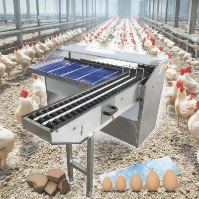 China 220v/380v Automatic Egg Sorting Machine / Commercial Egg Grading Machine For Sale for sale