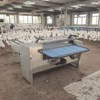 China Egg Sorting Grading Machinery Egg Sorting And Washing Machine Egg Sorter Machine for sale