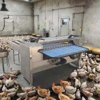 China Egg Sorting Grading Machinery Egg Sorting And Washing Machine Egg Sorter Machine for sale