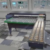 China Egg Sorter Machine Egg Grading Machine Egg Weight Grading Machine for sale