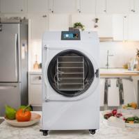 China Home Use Coffee Freeze Dryer Vacuum Food Fruit Freeze Dryer SUS 304 for sale
