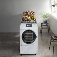 China SUS 304 Household Vacuum Freeze Dryer Lab Freeze Dryer PLC Control system for sale