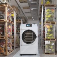 China SUS 304 Household Vacuum Freeze Dryer Lab Freeze Dryer PLC Control system for sale