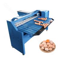 China Egg Grade Machine By Weight Egg Weight Classify Sorter Egg Weight Grader Egg Size Classifier for sale