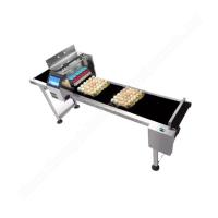 China Chicken Egg Printer Printing Machine  Ink Jet Printer Eggs Machine Egg Date Printer for sale