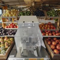 China Remover Automatic Core Removing Peeling Coring And Slicing Apple Machine for sale
