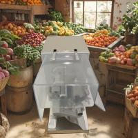 China Electric Slitter Automatic Coring Peel And Core Removing Slicer Stainless Steel Apple Peeling Slicing Machine for sale