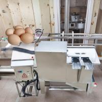 China Automatic Egg Cleaner Washer Egg-Washing-Machine Chicken Duck Washer Egg Washing Machine for sale