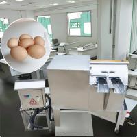 China Steel Type Chicken Cleaner Washing Machine Duck Egg Brush Washer for sale