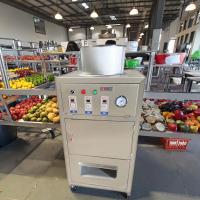 China Dry Electric Garlic And Ginger Peeling Machine 30kg/H for sale