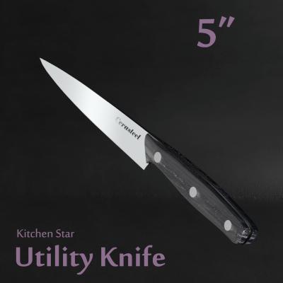 China Light Weight Cerasteel Kitchen Knife For Cutting Meat And Vegetables for sale