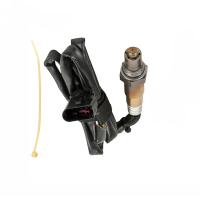 China Oxygen Sensor 1K0998262C 0258006984 for VW Passat Touareg Audi Q7 - OEM Standard Size with 12 Month Warranty for sale