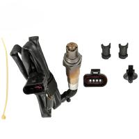 China Oxygen Sensor 0258006984 06B906262A for VW CC Passat 3.6L Touareg Audi A6 Q7 4.2L for sale