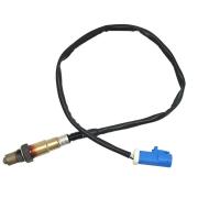 China Rear Oxygen Sensor BV61-9G444-BA 0258010244 for Ford Kuga 1.6L 2013 OEM Standard Size for sale