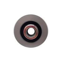 China OEM 10071849 Buick Alternator Freewheel Pulley - Generator One-Way Wheel with 12 Month Warranty for sale