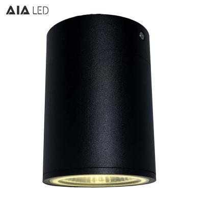 China IP65 water proofing exterior cylinder 50W COB LED downlight&outdoor LED downligthing for sale